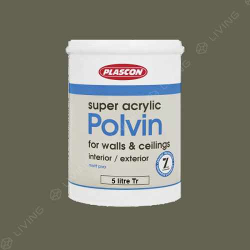 Краска Plascon SUPER ACRYLIC POLVIN цвет Wood Shadow арт.Y7-E1-2 от LIVING