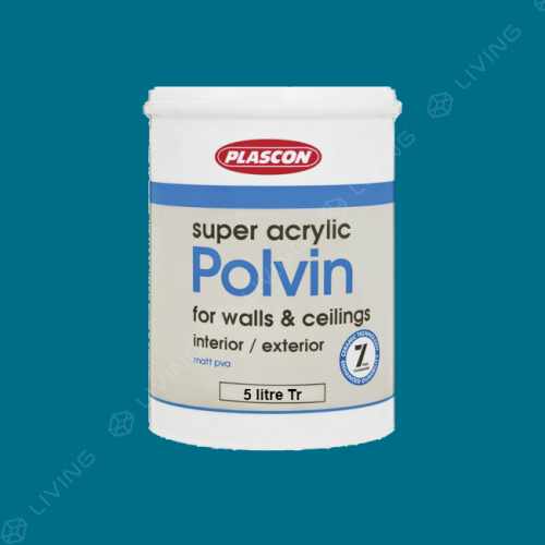 Краска Plascon SUPER ACRYLIC POLVIN цвет Storm Cloud арт.B4-C1-1 от LIVING