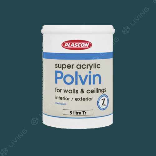 Краска Plascon SUPER ACRYLIC POLVIN цвет Night Moss арт.B2-E1-1 от LIVING